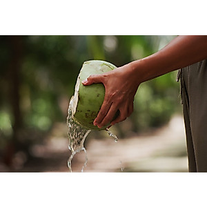 Real Coco Original Coconut Water 500mL, 100% USDA Organic Coconut Water, Packed with Electrolytes, Dairy/Soy Free, Vegan, Plant Based (12-pack, 500L)