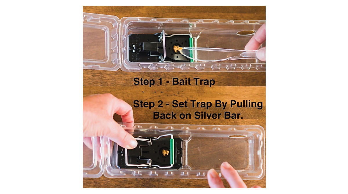 DoomBox™ Green Mouse Trap - Safe & Effective Solution