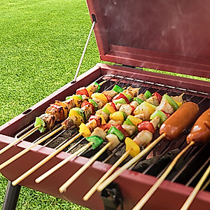 Portable Charcoal Grill Mini Small BBQ Smoker Grill for Outdoor Cooking Camping Picnic Patio Backyard Separated Large BBQ Space,Green,42 * 37cm