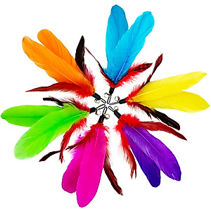 TIENAILING Cat Feather Toys Refills Cat Wand Replacement Feathers, 14 PCS Feathers Cat Toy Refills, Cat Toys Feathers for Cat Wand