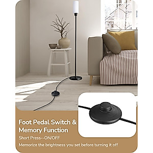 EDISHINE LED Corner Floor Lamp with Glass Lampshade, Modern Dimmable Reading Light with Remote, 65" Standing Tall Lamp for Living Room, Bedroom, Office, Bulb Included (Black)