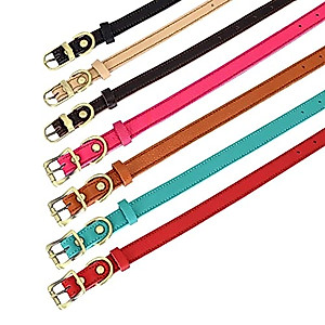PET ARTIST Genuine Leather Dog Collar, Lightweight & Soft Padded Leather Collar, 7 Beautiful Color for Choices,Dog Collar for Puppy&Small Dog,Red,M