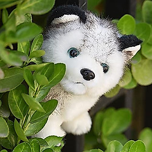 XIGUI 10" Plush Husky Dog Stuffed Animal Puppy Toys Gifts