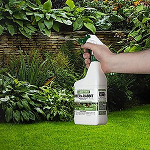 Liquid Fence Deer and Rabbit Repellent, Keep Deer and Rabbits Out of Garden Patio and Backyard, Use on Gardens Shrubs and Trees, Harmless to Plants and Animals When Used & Stored as Directed, 32 fl Ounce