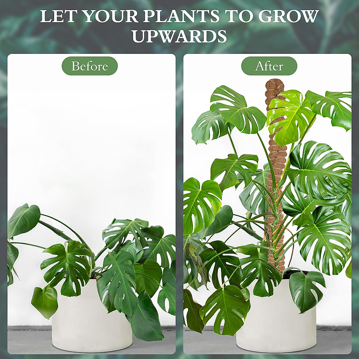 Moss Pole for Plants Monstera - 25 Inch Plant Stakes for Indoor, Moss Poles for Climbing Plants, Handmade Coco Coir Pole Plant Support for Creeper Plants Grow Upwards（Single）