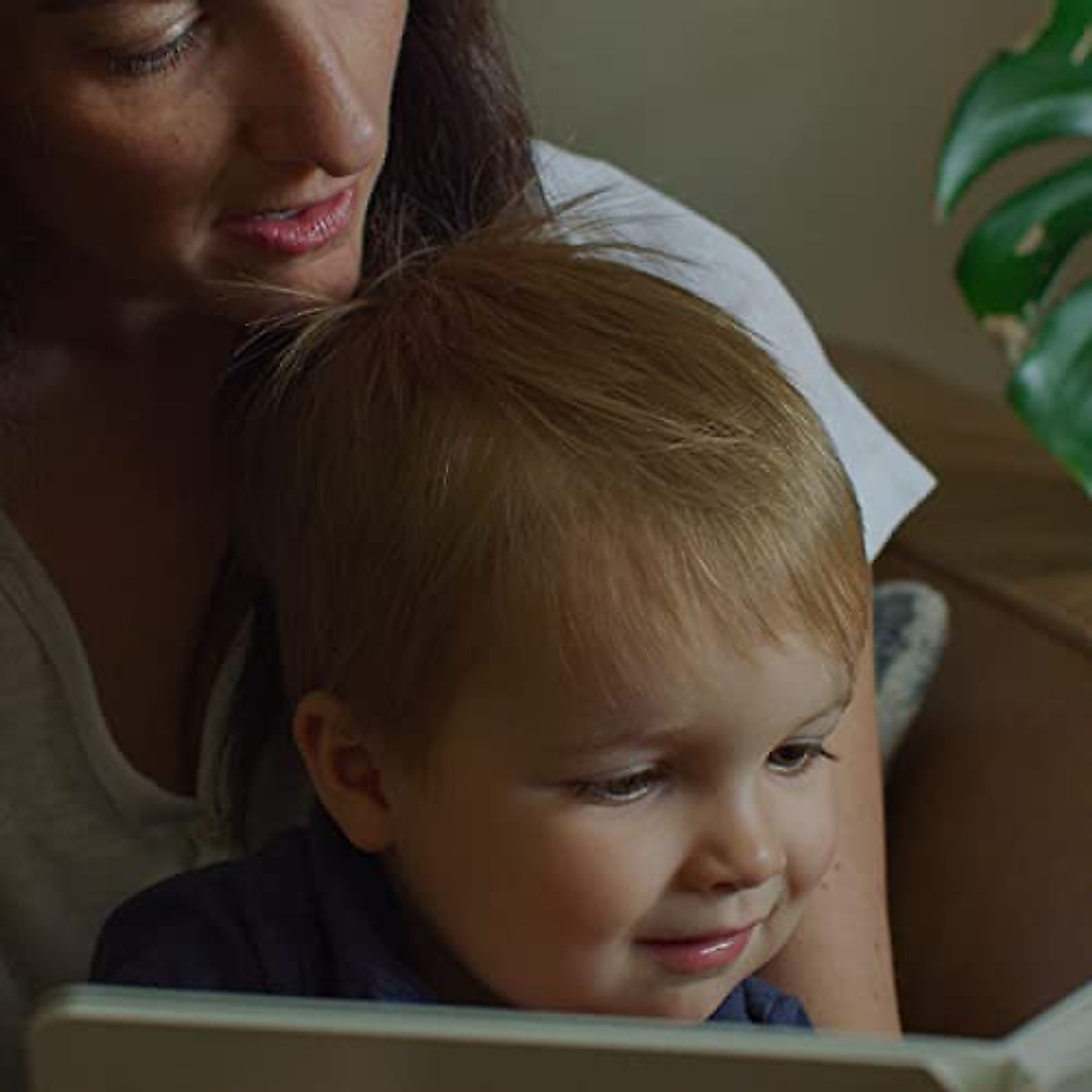 Creation (Big Theology for Little Hearts)