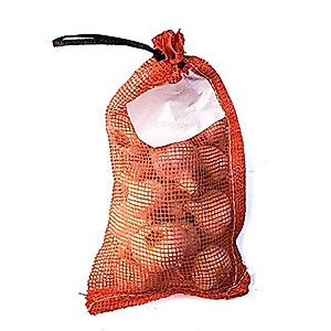 GardenTrends Mesh Storage/Produce Bags - 8" x 12" (10)