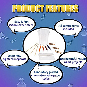 Paper Chromatography Experiment Kit With Lab Instructions - DIY Science Experiment For Home, School, Lab - Kit Includes 50-Sheet Filter Paper, Beaker, Dowel, Clips, Pens, Pencil, Detailed Instructions
