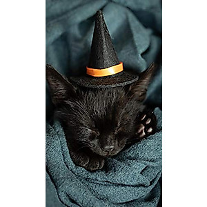 Lizard Clothes for Bearded Dragons, Halloween wizard Hat with Elastic Chin Strap Reptile Apparel Outfit Witch Cap Halloween Costume Party Cosplay Dress up Photo Props for Small Animals (Black)