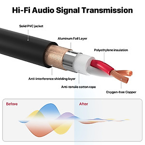 EBXYA 100 ft XLR Cable 2 Pack - 3-Pin Male to Female XLR Microphones Cables