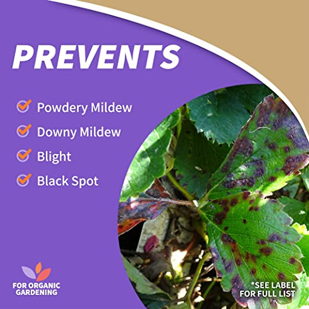 Bonide Captain Jack's Copper Fungicide, 16 oz Concentrated Plant Disease Control Solution for Organic Gardening