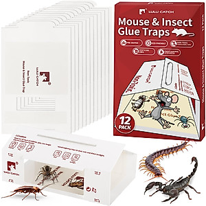 LULUCATCH Spider & Insect Glue Traps,12 Pack Pre-baited Sticky Glue Boards, Foldable Non-Toxic Bulk Spider Cricket Traps, Adhesive Bug Catcher Traps Indoor for Cockroach, Scorpions, Flea, Centipedes