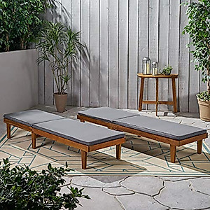 Christopher Knight Home Madge Oudoor Chaise Lounge with Cushion (Set of 2), Teak Finish, Dark Gray