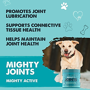 Mighty Paw Waggables Joint Support Supplement for Dogs (Made in USA) | Glucosamine for Dogs Hip and Joint Supplement. Vet Formulated Pet Mobility, Chondriotin & MSM Dog Joint Supplement Chews (120 Ct)