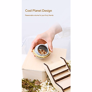 iHOO Hamster Feeding & Water Food Bowls,Planet Shape Ceramic Bowl for Dwarf Syrian Hamsters Gerbils Mice Rats Small Animals(Planet Type 2)