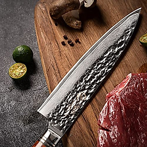 YARENH Chef Knife, 8 inch Professional Kitchen Knife,Sharp Damascus Stainless Steel Blade,73 Layers,High Carbon,Full Tang,Dalbergia Wood Handle,Gift Box Packaging,HTT-Series