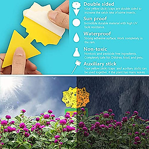 36 PCS Fruit Fly Trap Yellow Sticky Fungus Gnat Killer for Indoor and Outdoor Plant Insect Catcher for White Flies Mosquitos Fungus Gnats Flying Insects Houseplant Gift for Flower Lover