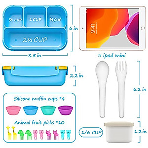 QQKO Bento Lunch Box for Kids Girls Boys, Toddler Kids Lunch Boxes for School, Lunch Containers for Adults Kids with 4 Compartments, Sauce Container, Utensils, Food Picks and Muffin Cups, Blue