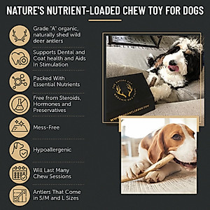 The Antler Box Premium Deer Antler Dog Chews (1 lb Bulk Pack) (Large (3 to 4 Antlers/lb))