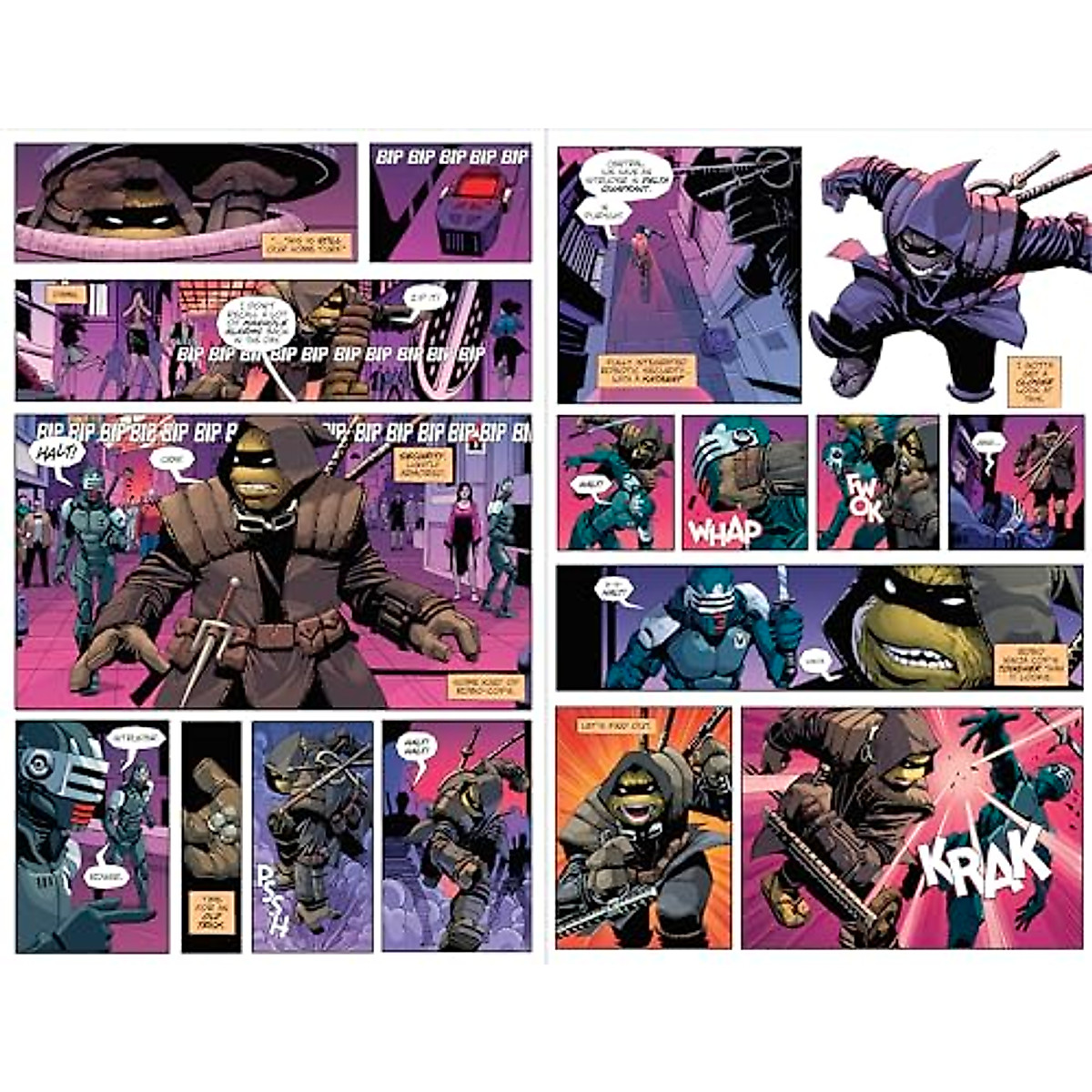 Teenage Mutant Ninja Turtles: The Last Ronin