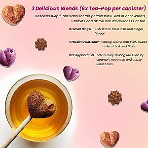 TEA-POP - Assorted Tea-On-A-Stick, A Delicious Combination Of Herbal And Fruit Teas | 100% Natural Tea Made From Plants And With Antioxidants | Dissolves Fully In Hot Water | - 6 x Tea-Pop Stick