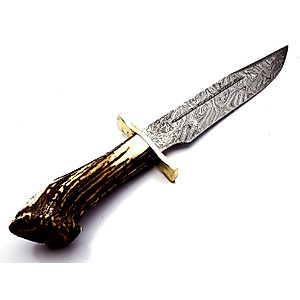Skokie Knives Damascus Steel Bowie Knife Bull Horn Handle with & Brass Guard –16” Handmade Premium Quality Sharp Edge Fix Blade -Genuine Multipurpose Knife Ideal for Hunting, Camping (Stage B)