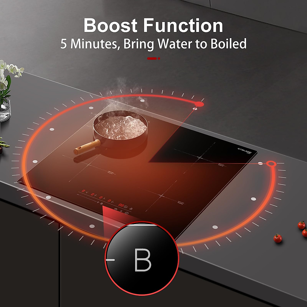 GASLAND Induction Cooktop 4 Burners, Drop-in 24 Inch Induction Stovetop IH60BF 240V Electric Hob, 9 Power Levels, Slide Touch Control, Child Safety Lock, 1-99 Minutes Timer