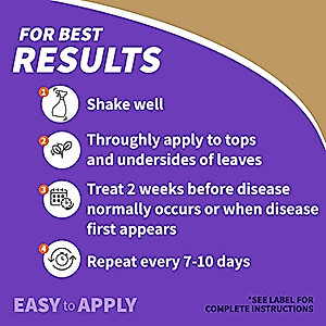 BONIDE PRODUCTS 775 Ready-to-Use Copper Fungicide, 32-Ounce [2-Pack]