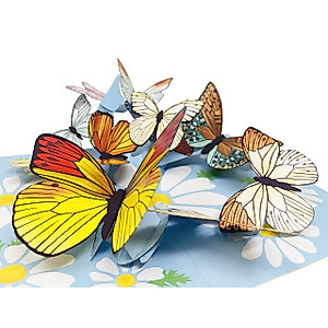 Gorgeous Butterflies,3D Pop Up Greeting Card For All Occasions,Love, Birthday, Christmas, Mother's Day, Good Luck, Congrats, Get Well,Message Note for Personalized,Thick Envelope, Fold Flat