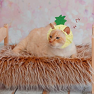 Weewooday 5 Pieces Cat Hat Cat Costume Bunny Hat with Ears Funny Banana Pineapple Cat Hat for Cats and Small Dogs Kitten Puppy Party Costume Accessory Headwear(Cute Style)