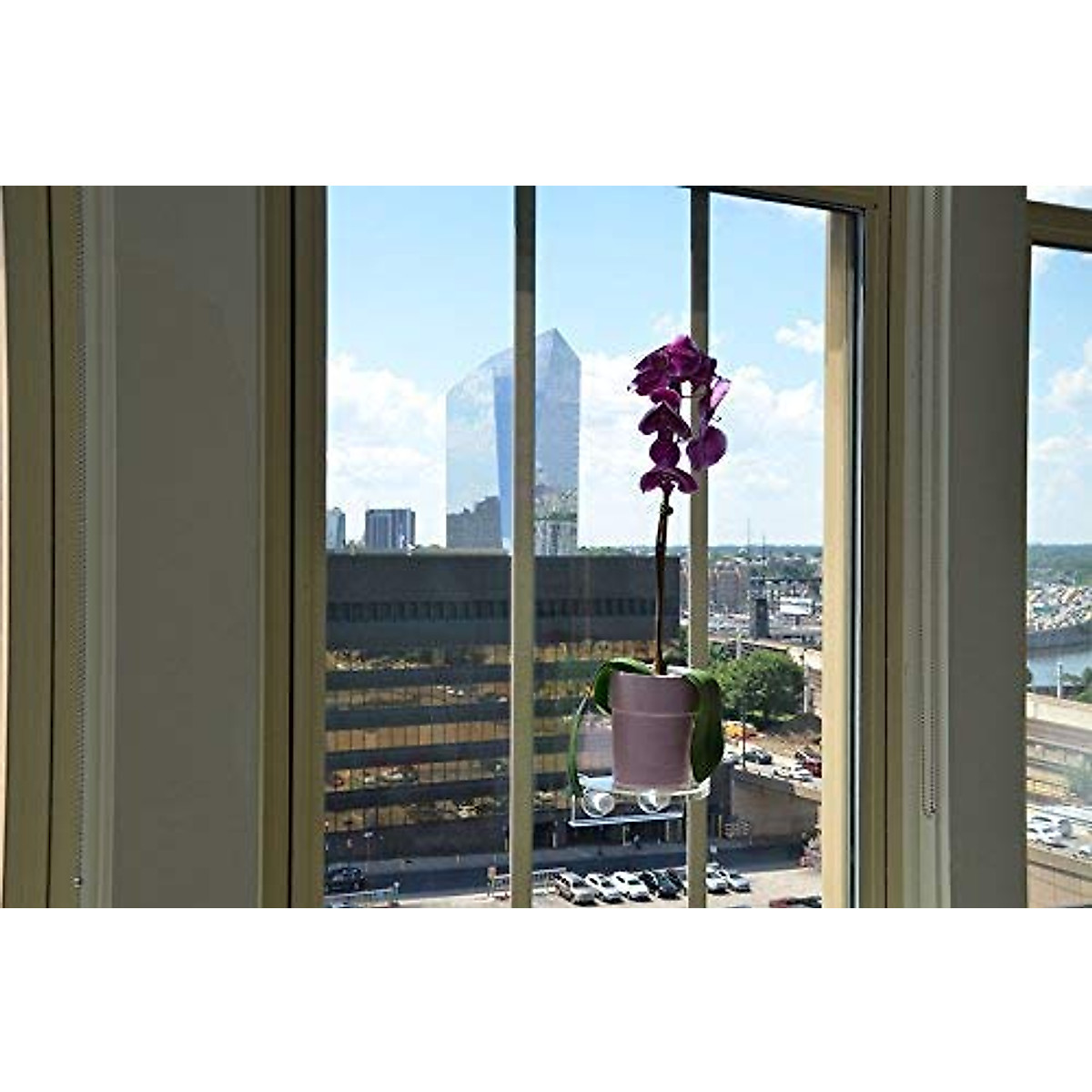 LaBrinx Designs Small Suction Cup Shelf - Live Plants, Windows, and Bathrooms