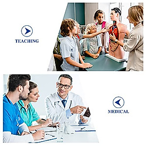 ASINTOD Anatomical Medical Knee Joint with Ligaments Model, Human 1:1 Life Size, for Science Classroom Study, Display Teaching