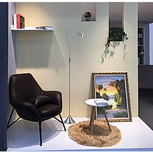 HomeFocus - LED Floor Lamp, Floor Lamp,Floor Light,Eye-Caring,Floor Lamp for Living Room,Bedroom,Metal,Satin Nickel,Flexible Gooseneck,LED 5W,3000K,Warm White Light,Energy Efficient Super Bright.