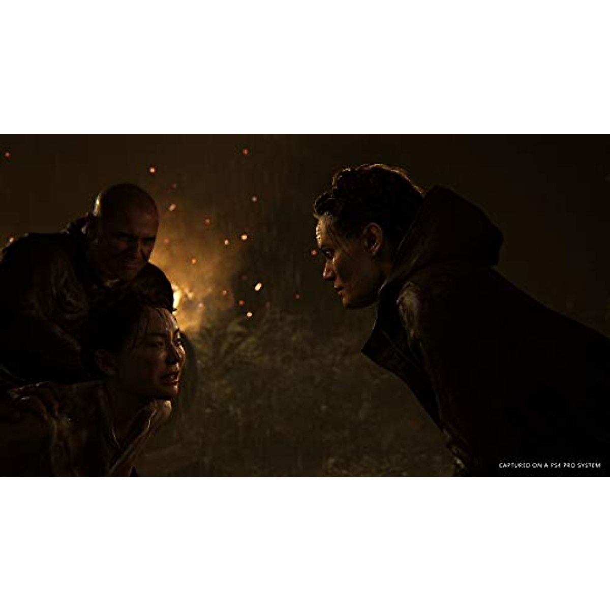 PlayStation Sony ps4 Last of US 2 - ps4