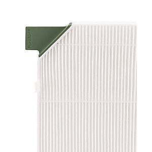 Frigidaire FRPARAC10 PureAir® RAC-10 Premium Allergen Air Filter Replacement for Window ACs - Effective for Dust, Pollen, and Pet Dander
