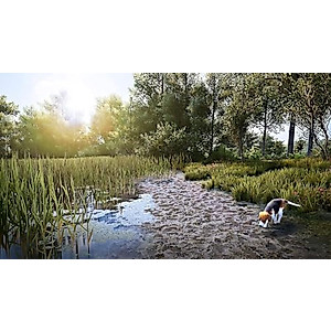 Hunting Simulator 2 (Xbox Series X)