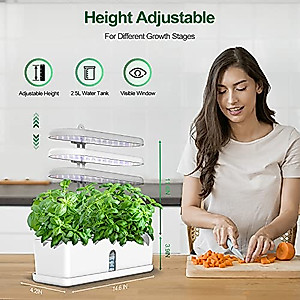 MINEGROW Hydroponics Growing System 10 Pods, Herb Garden Kit Indoor with LED Grow Light, Indoor Garden with Automatic Pump & Timer, Height Adjustable, Indoor Herb Garden Home Decor Gift
