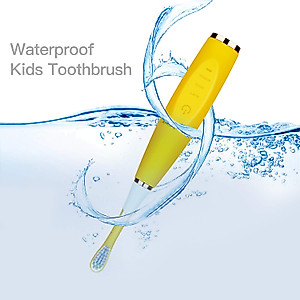 Aima Beauty Electric Toothbrush for Kids & Adults Powered Sonic Toothbrushes with Travel Case, Kinds Color of Rechargeable Whitening Tooth Brush with 2 Soft Bristles (Yellow)