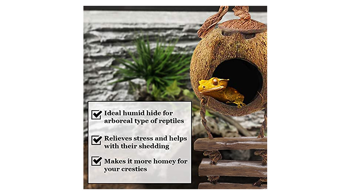 SunGrow Gecko Coconut Hut with Ladder - Ideal Habitat