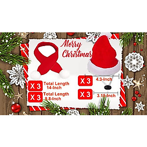 Christmas Pet Chicken Hat Scarf Set for Hens, 12 Pieces Santa Hat Cloak with Adjustable Chin Strap Cute Decorative for Duck Hens Rabbit Kitten