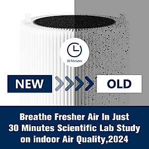 Blue Pure 311 AUTO Filter Replacement for Blue Pure 311 AUTO Air Puri-fier, H13 True HEPA Filter and Activated Carbon Filter Pack of 3 By Improvedhand