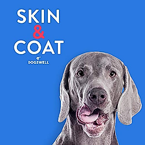 Dogswell Jerky Skin and Coat – Mini Salmon Jerky Dog Treats with Dog Skin & Coat Support (4 oz. Salmon)