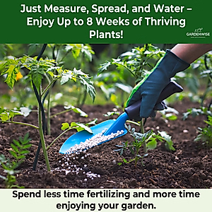 10-10-10 Plant Fertilizer Slow Release – 10 10 10 All Purpose Granular Garden Fertilizer for Fruit Trees, Evergreens, Vegetables, Arborvitae, Fig Trees, Shrubs, Pines, Oaks, Flowers (1/2 Quart)