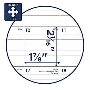 2022 Monthly Planner by AT-A-GLANCE, 8" x 12", Large, DayMinder, Black (SK200), 2022 New Edition