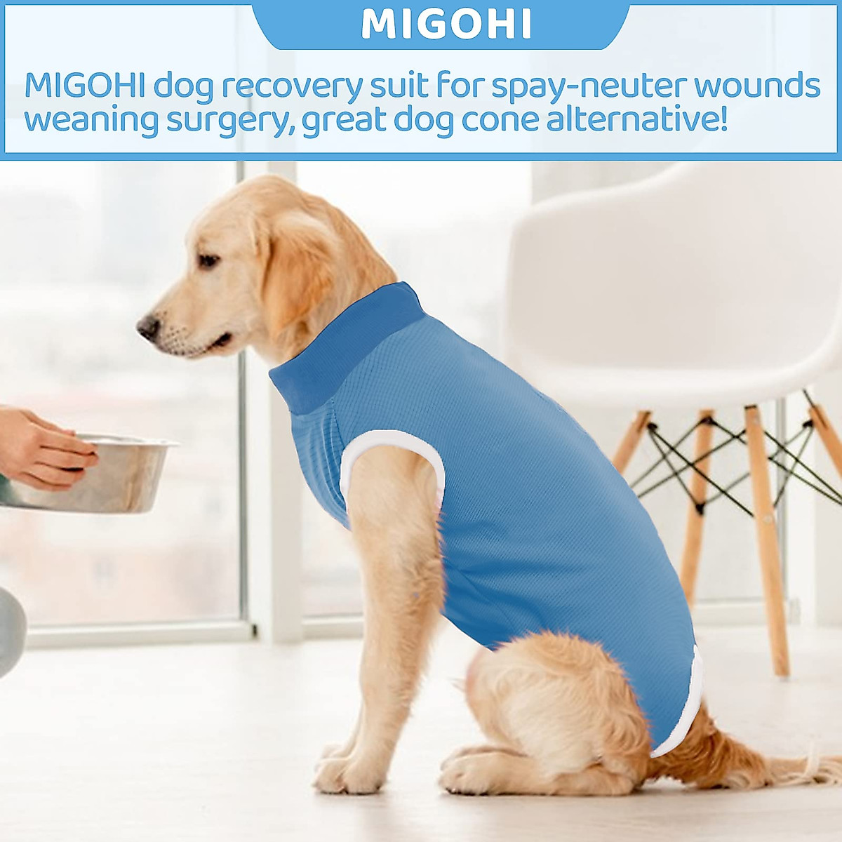 MIGOHI Dog Surgery Recovery Suit, Anti Licking Recovery Suit for Female Male Dogs Cats, Spay Neuter Dog Onesie After Surgery, Professional Dog Surgical Suit Cone Alternative for Abdominal Wounds