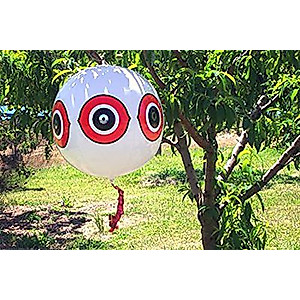 Bird-X Scare-Eye® Bird Repellent Predator Eyes Balloon, White