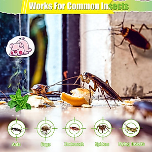 16 oz Peppermint Oil to Repel Mice and Rats, Rodent Repellent Peppermint Oil Spray for Bugs, Mouse, Roaches, Spiders, Ants, Flying Insects and More, Concentrated Formula for Powerful Protection