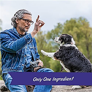 Pet Botanics Freeze Dried Training Rewards Puppy and Dog Treats, Made in The USA, Low Calorie Single Ingredient, Grain Free Beef Liver, 6 oz.