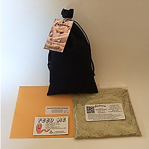 Red Wiggler Composting Worms 1/4 pound 250-400 Count Eisenia fetida