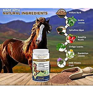 V-POINT - Laminitis Ease - Supports and Prevents Acute Laminitis Attacks, 100% Natural Herbal Powder for Horses (1.0 lb)